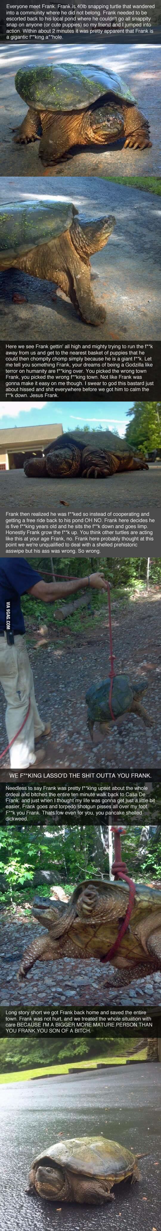 The adventures of Frank the Snapping Turtle - 9GAG