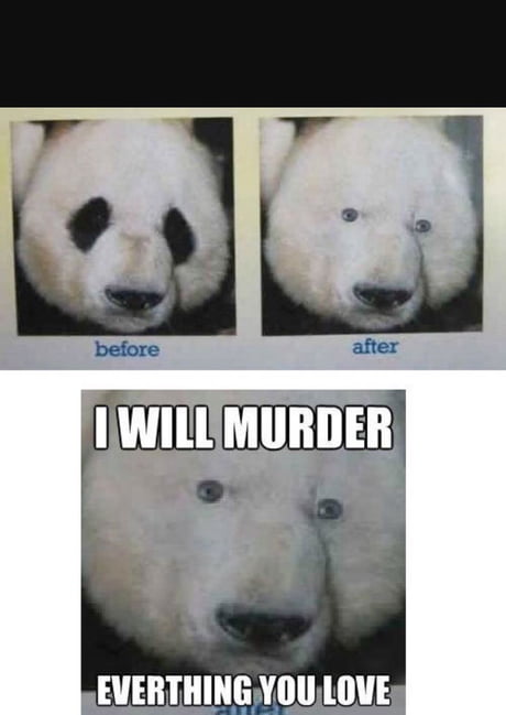 Panda Without Makeup Meme Face - Infoupdate.org