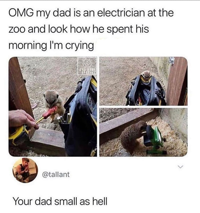 Explain your smolness - 9GAG