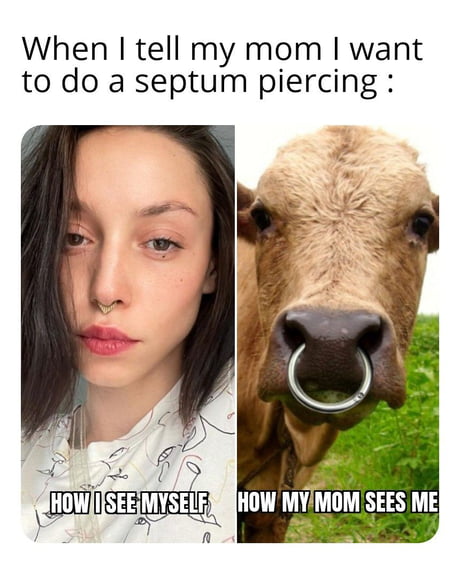 Septum Memes