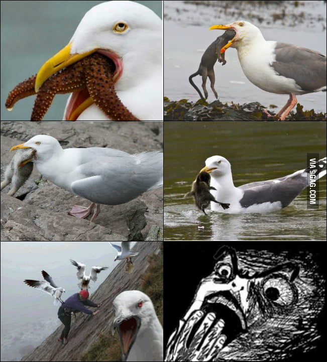You could be next... - 9GAG
