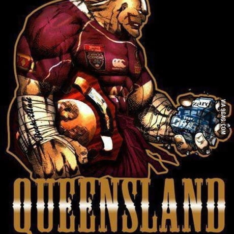 Origin Qld Memes Silly State Of Origin Supporters 9GAG