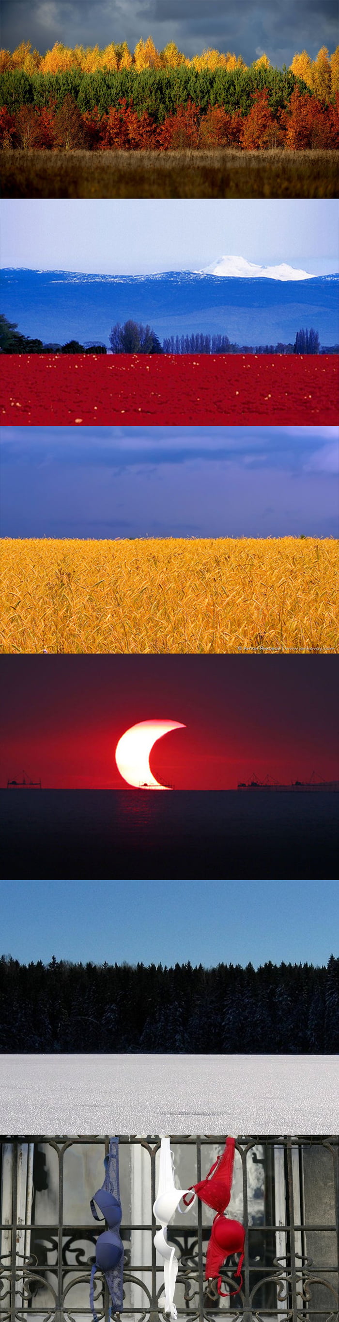 Country flags in their natural landscape - 9GAG