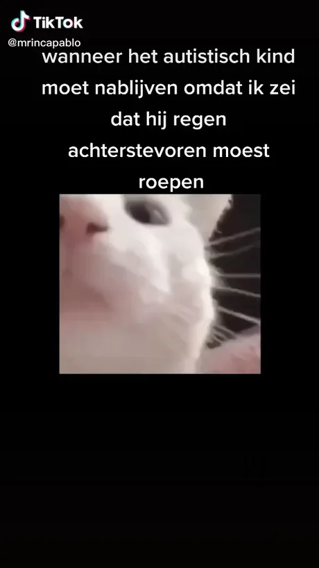 Maak Het Regen Meme Langs Kwam Polly