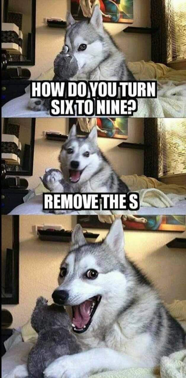 Funny doggo - 9GAG