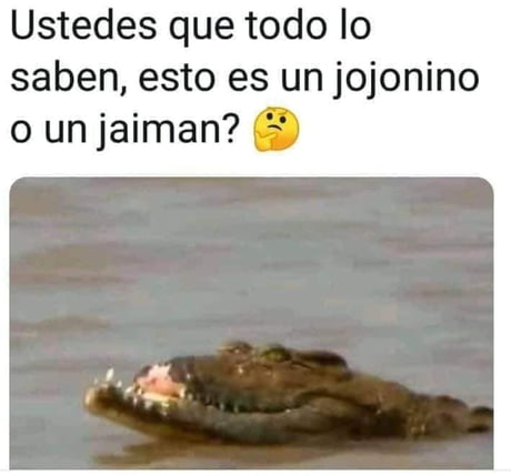 Memes De Gangosos