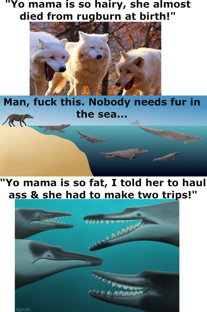 As you can see, my jokes suck. Please drop your best Yo Mama jokes - 9GAG