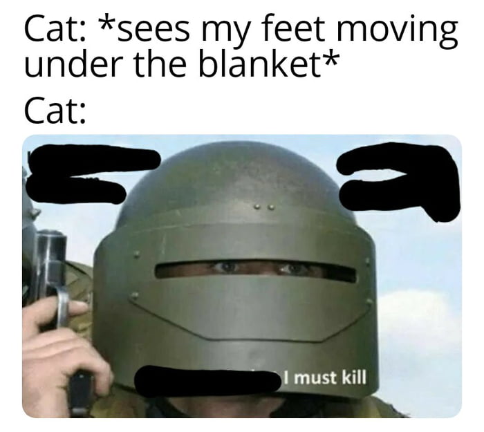 Just let me sleep dammit. - 9GAG