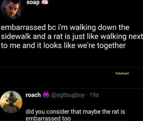 Best Funny rat Memes - 9GAG