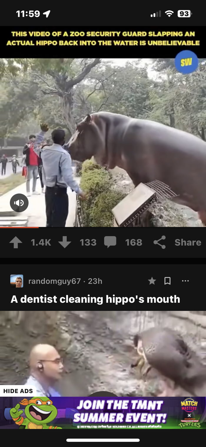 It’s hippo day here at 9GAG! - 9GAG