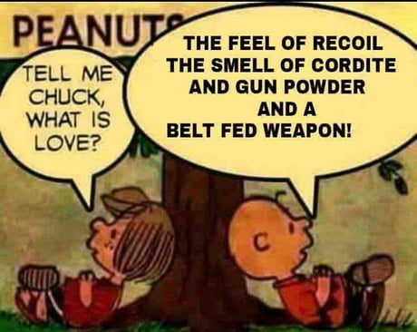 Best Funny charlie brown Memes - 9GAG