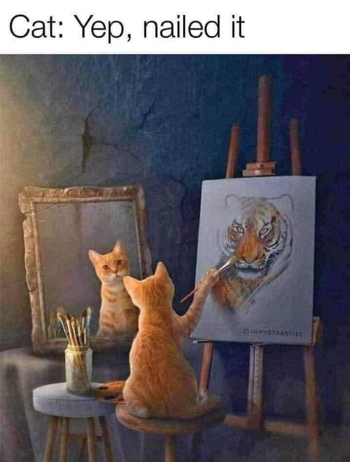 This is not a meme. - 9GAG