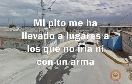 Memes De Pito Parado