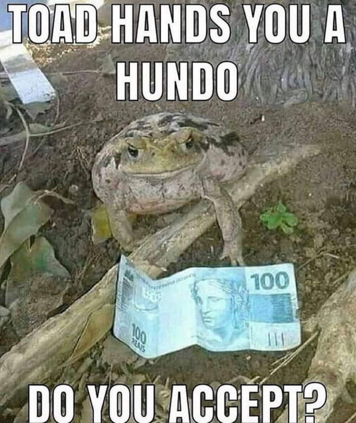Pls accept, you might need a hundo - 9GAG