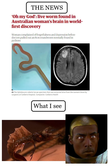 Best Funny worm Memes - 9GAG