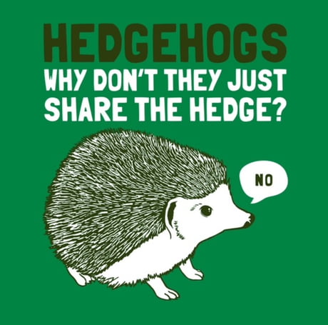 Best Funny hedgehog Memes - 9GAG