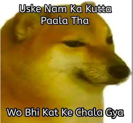 Best Funny cheems Memes - 9GAG