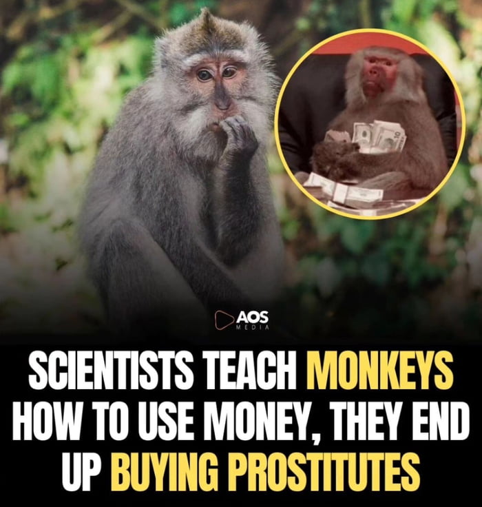 The question is，"they" as in the scientists or the monkeys? - 9GAG