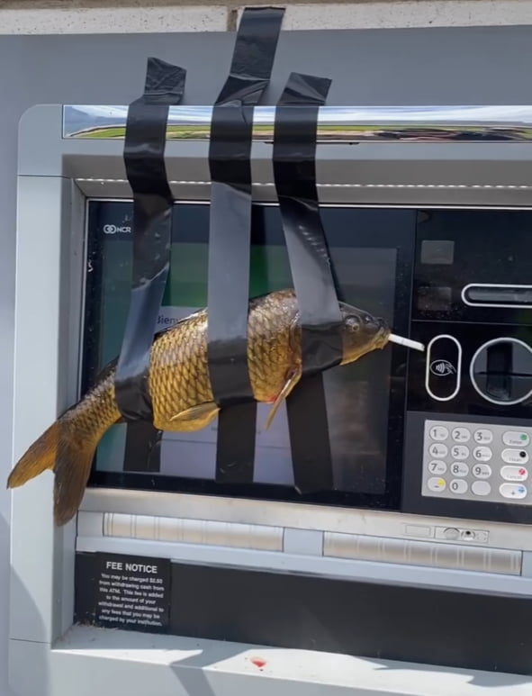 Teen Arrested For Allegedly Taping Fish To ATMs - 9GAG