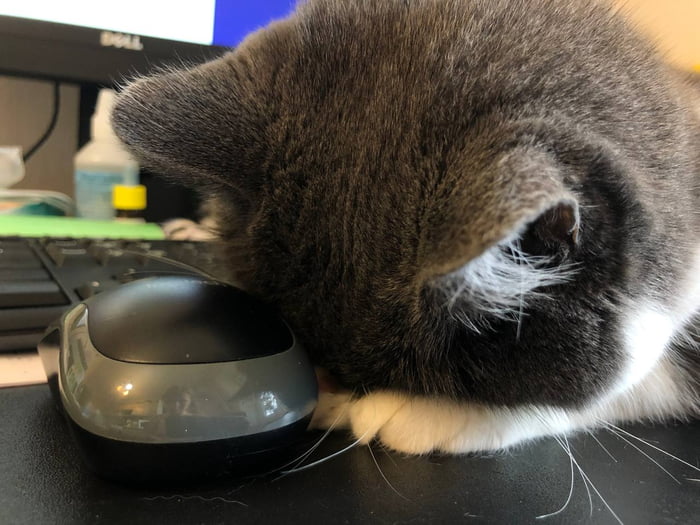 Working on a computer is so hard - 9GAG