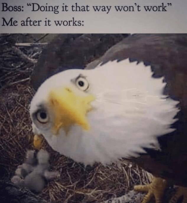 Gets Rewarded With Extra Work On Saturday 9GAG gets-rewarded-with-extra-work-on-saturday-9gag