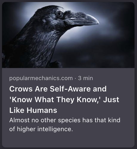 Best Funny cognitive bias Memes - 9GAG
