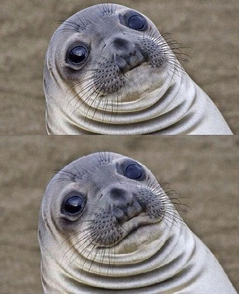 TIL awkward moment seal had a mouth that was edited out? - 9GAG