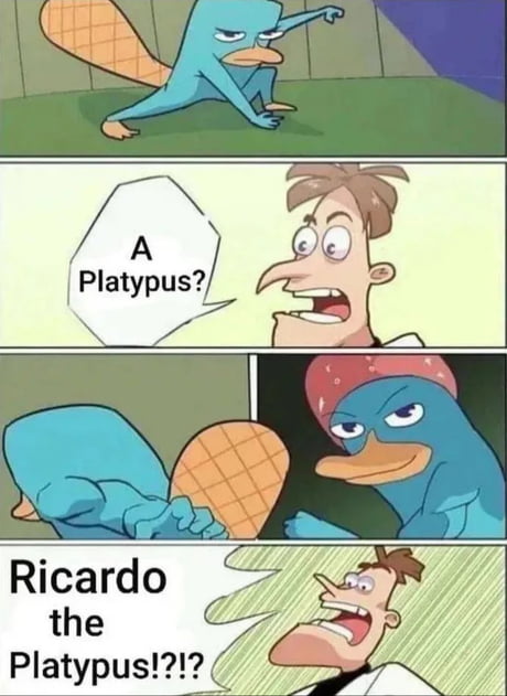 Platypus Memes Perry The Platypus Meme Compilation
