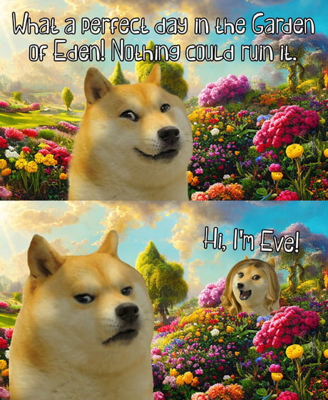 Obamacare Doge Memes Florida Rep. Chip LaMarca Discusses DOGE Audits,