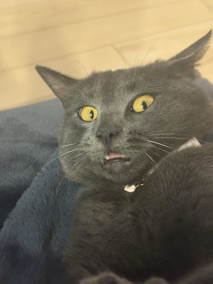 Her face after I told her she was adopted - 9GAG