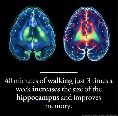 Best Funny memory Memes - 9GAG