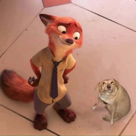 Best Funny zootopia Memes - 9GAG