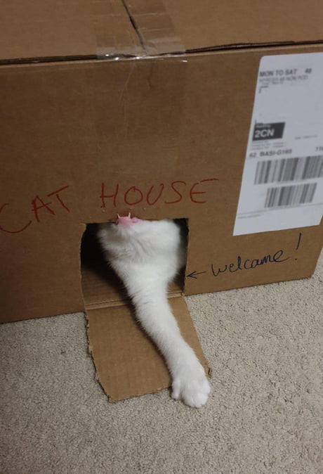 Best Funny house Memes - 9GAG