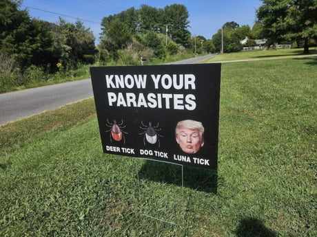 Best Funny tick Memes - 9GAG