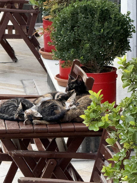 Best Funny istanbul Memes - 9GAG