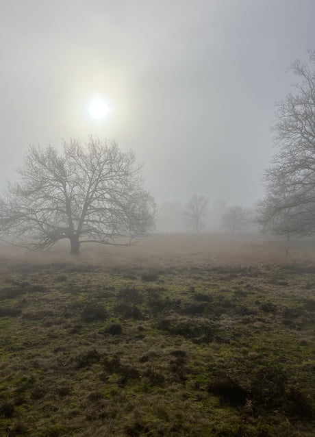 Best Funny fog Memes - 9GAG