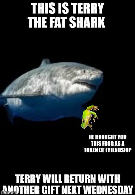Best Funny terry the fat shark Memes - 9GAG