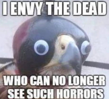 Best Funny Cursed Memes and Images - 9GAG