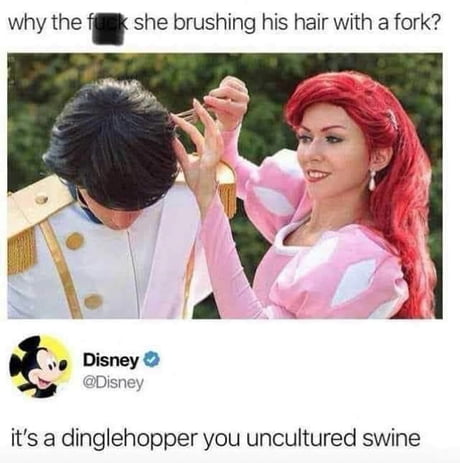 Best Funny ariel Memes - 9GAG