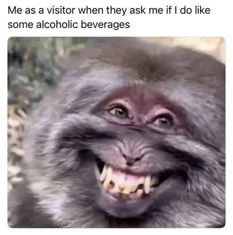 Alcool Memes