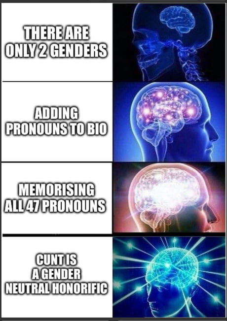 Pronoun Memes