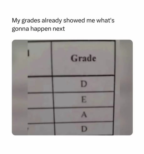 Best Funny grades Memes - 9GAG