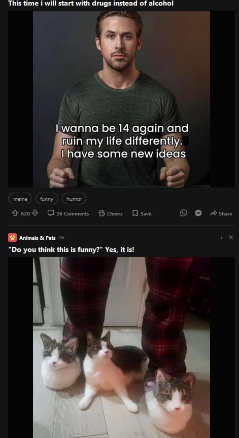 Perfect meme timing - 9GAG