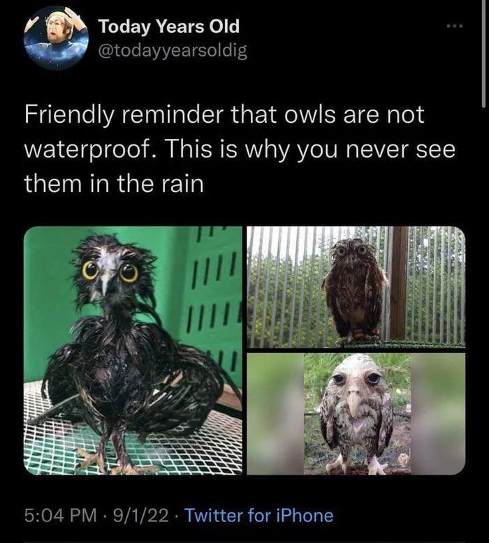 Whooo's laughing now? - 9GAG