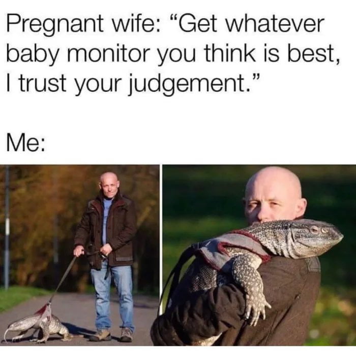 Turns out the 'baby monitor' has a bit more bite than expected! - 9GAG