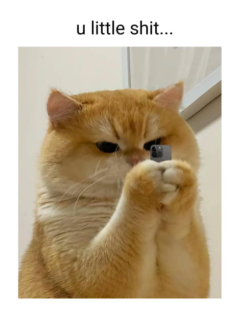 Best Funny scolding Memes - 9GAG