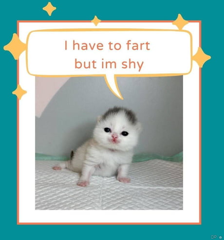 Best Funny shy Memes - 9GAG