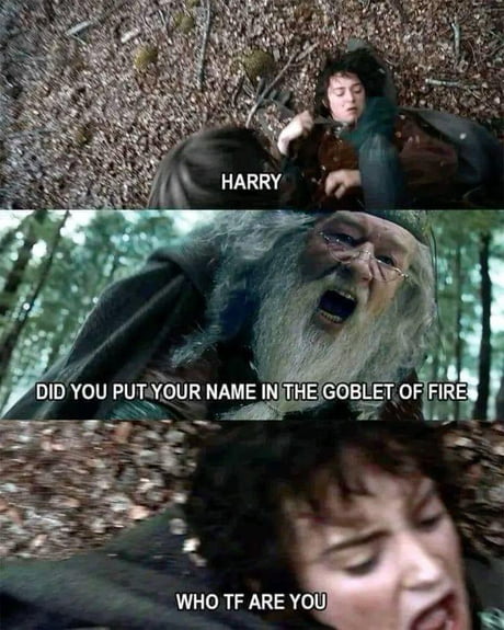 Lord Of The Rings Meme Frodo