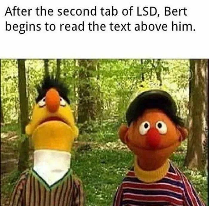 The Bert experience - 9GAG