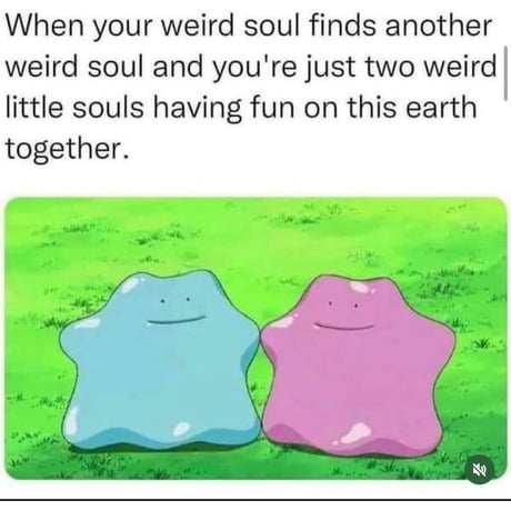 Best Funny ditto Memes - 9GAG